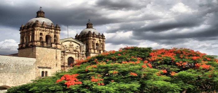 Two Day Trip to Oaxaca